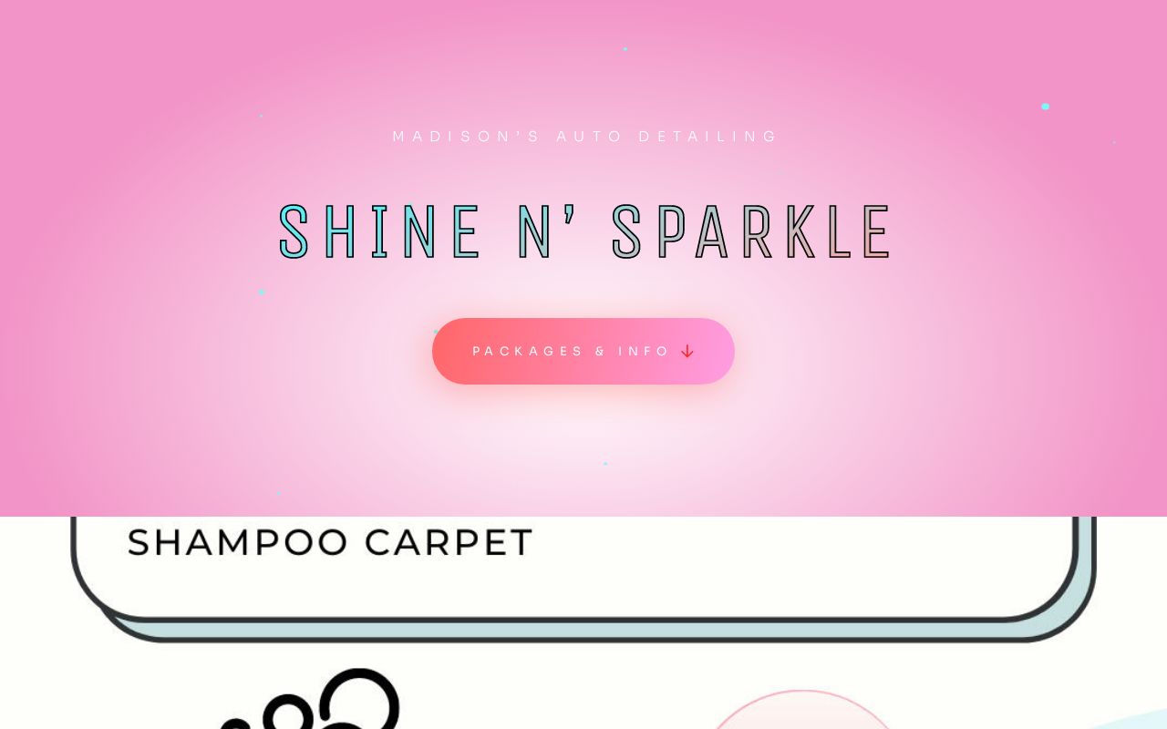 Shine N Sparkle Auto Detailing